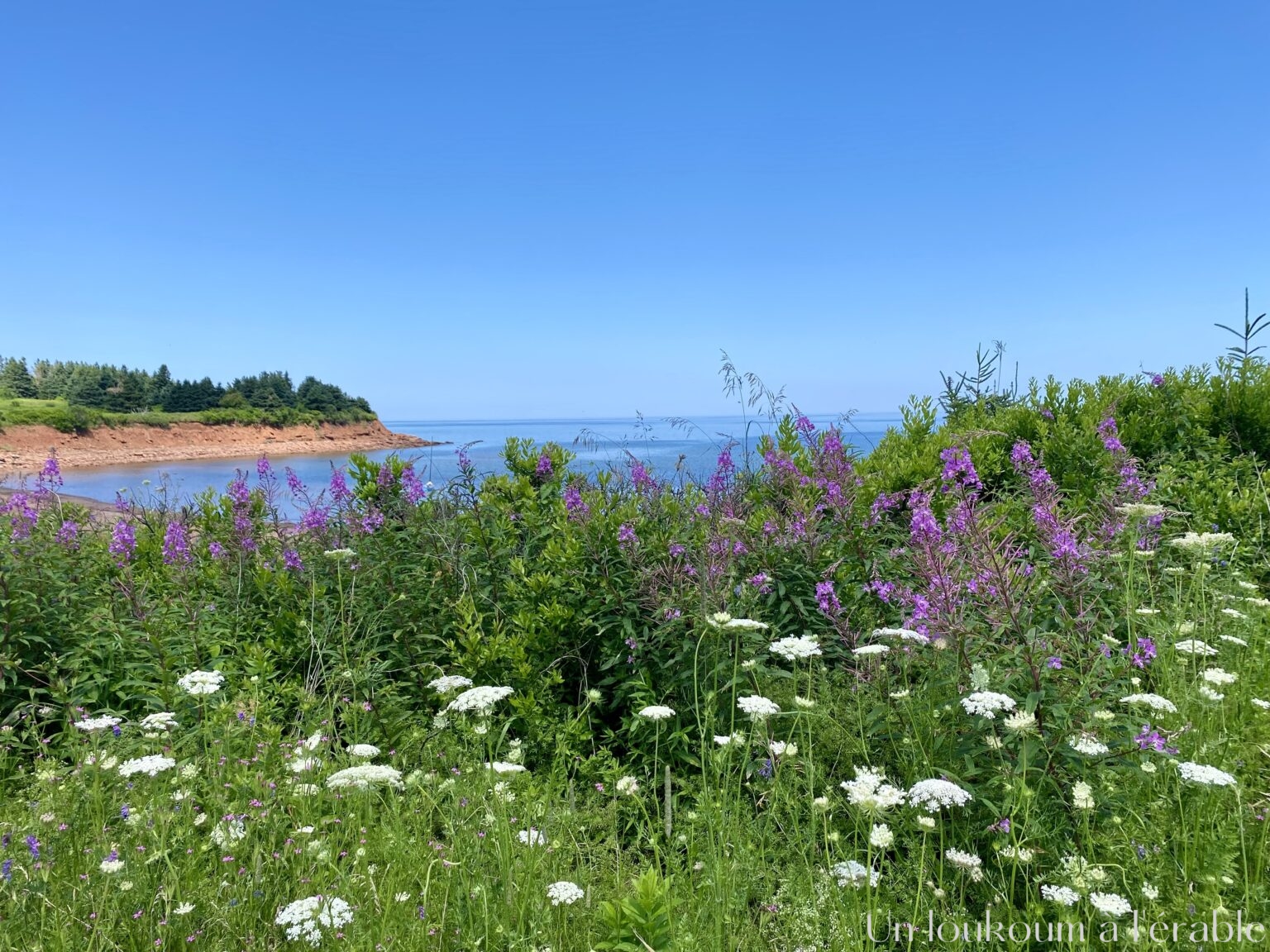 Que faire sur l’Île-du-Prince-Édouard en 5 jours ? - Un loukoum à l'érable