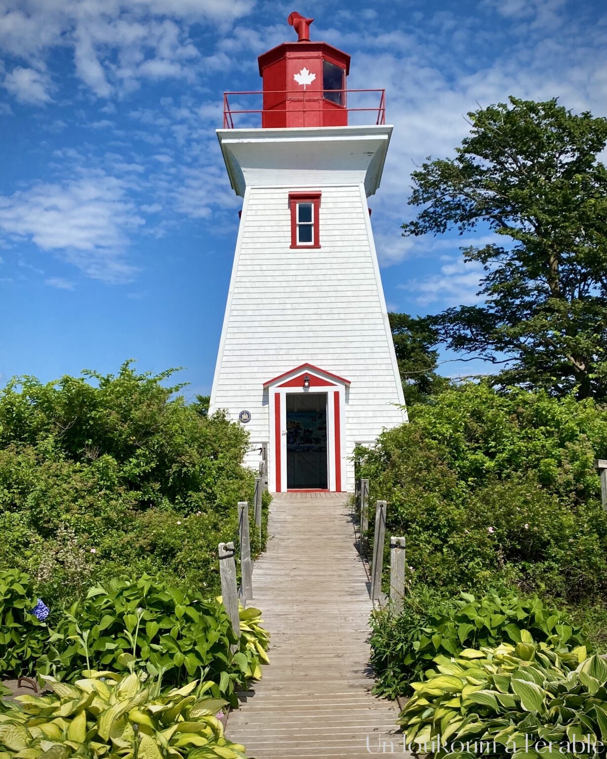 Que faire sur l’Île-du-Prince-Édouard en 5 jours ? - Un loukoum à l'érable