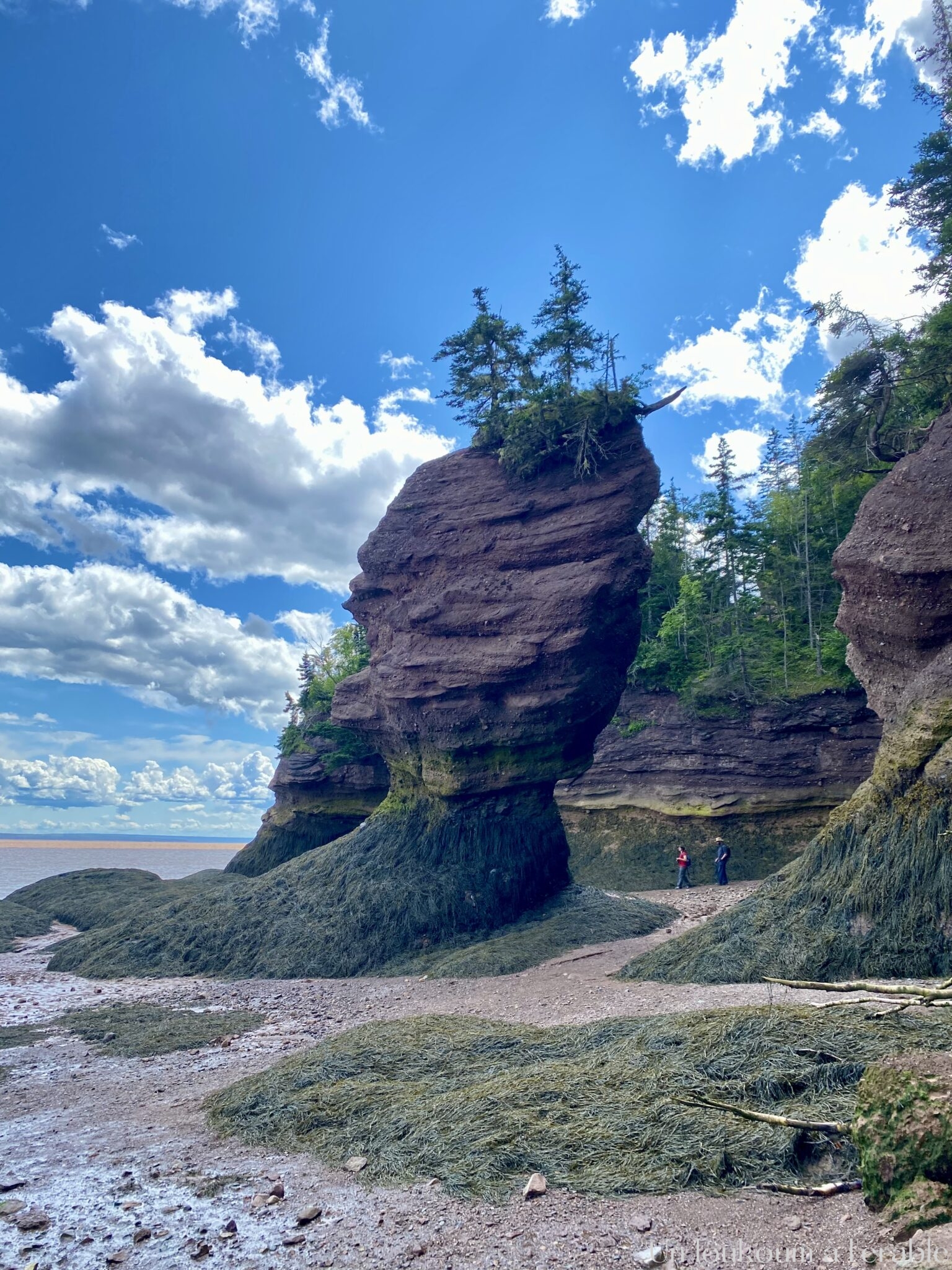 Une journée aux Hopewell Rocks - Un loukoum à l'érable